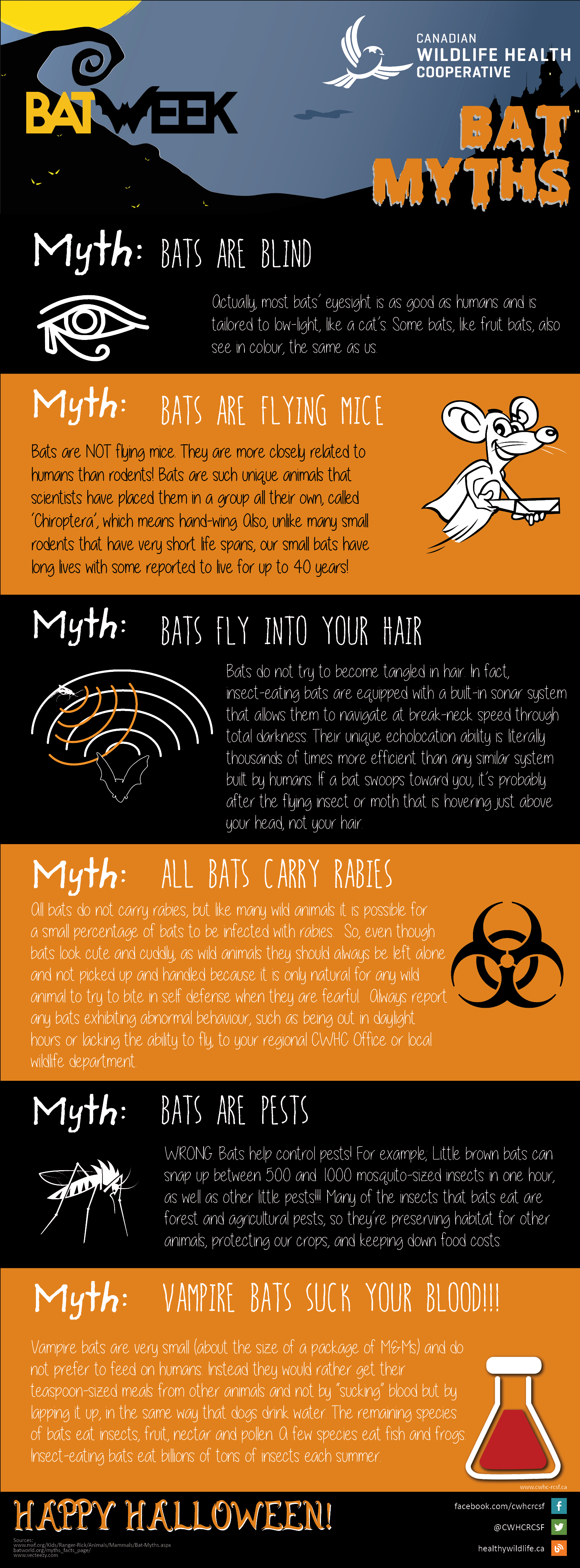 Bat Week Day 5: Dispelling bat Myths - Healthy Wildlife - The blog of ...