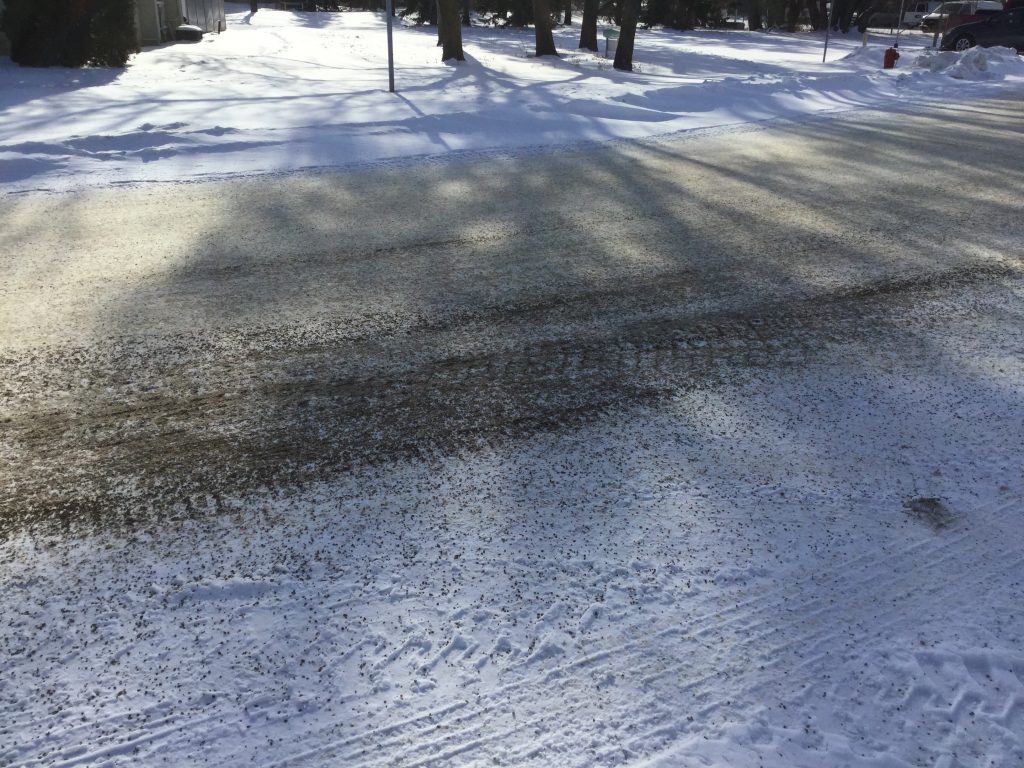 A Salt on Wildlife Health: The Environmental Impacts of Road Salt ...