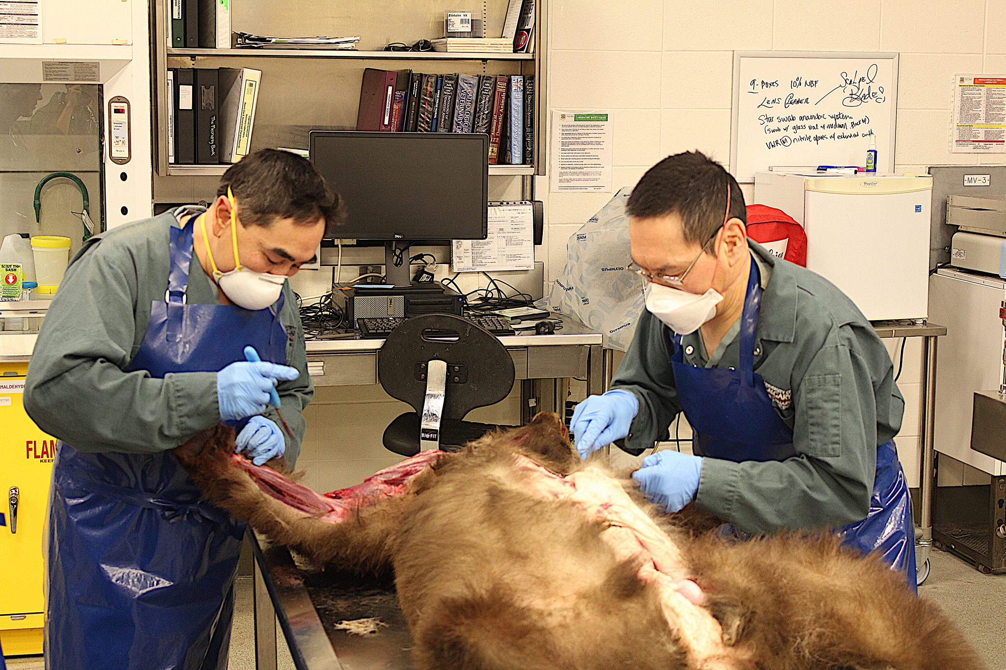 Wildlife Field Investigation and Health Sampling Workshop - Healthy ...