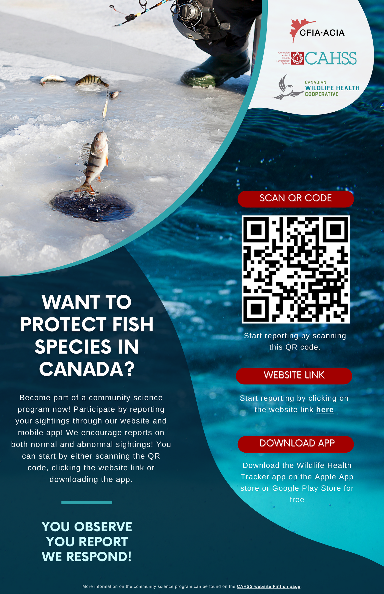 Introducing the Fish Health Tracker - Healthy Wildlife - The blog of ...